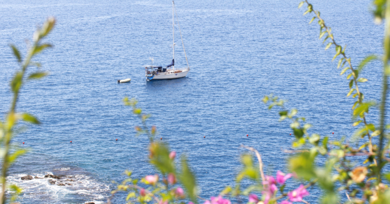 9 Top Reasons To Visit Madeira Portugal Adventure Yogi