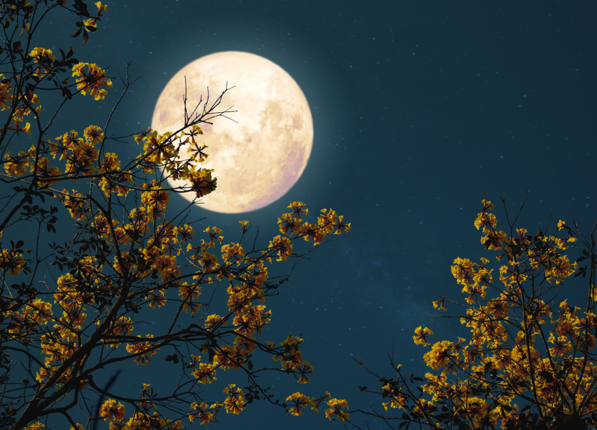 Harness the Power of the Full Moon: A Guided Release Ritual | Adventure ...