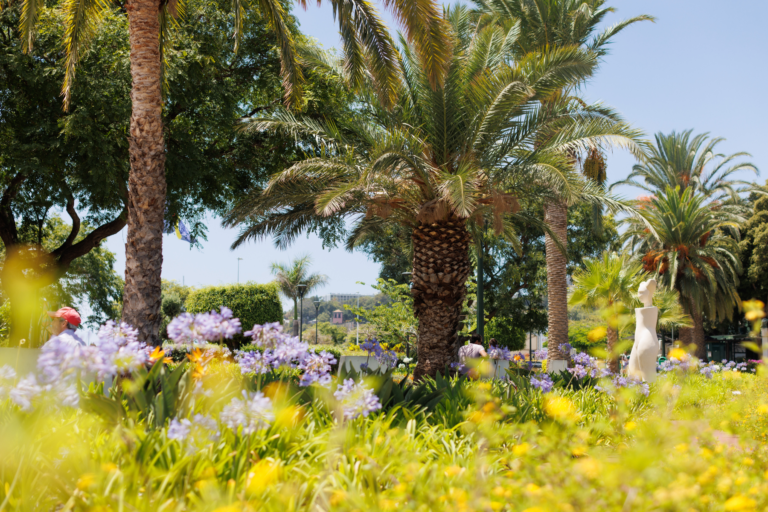 Madeira in July - Everything To See & Do in Madeira