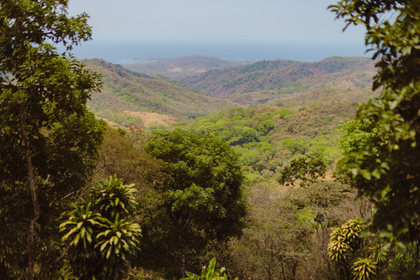 The 10 Best Things To Do In Costa Rica | Adventure Yogi