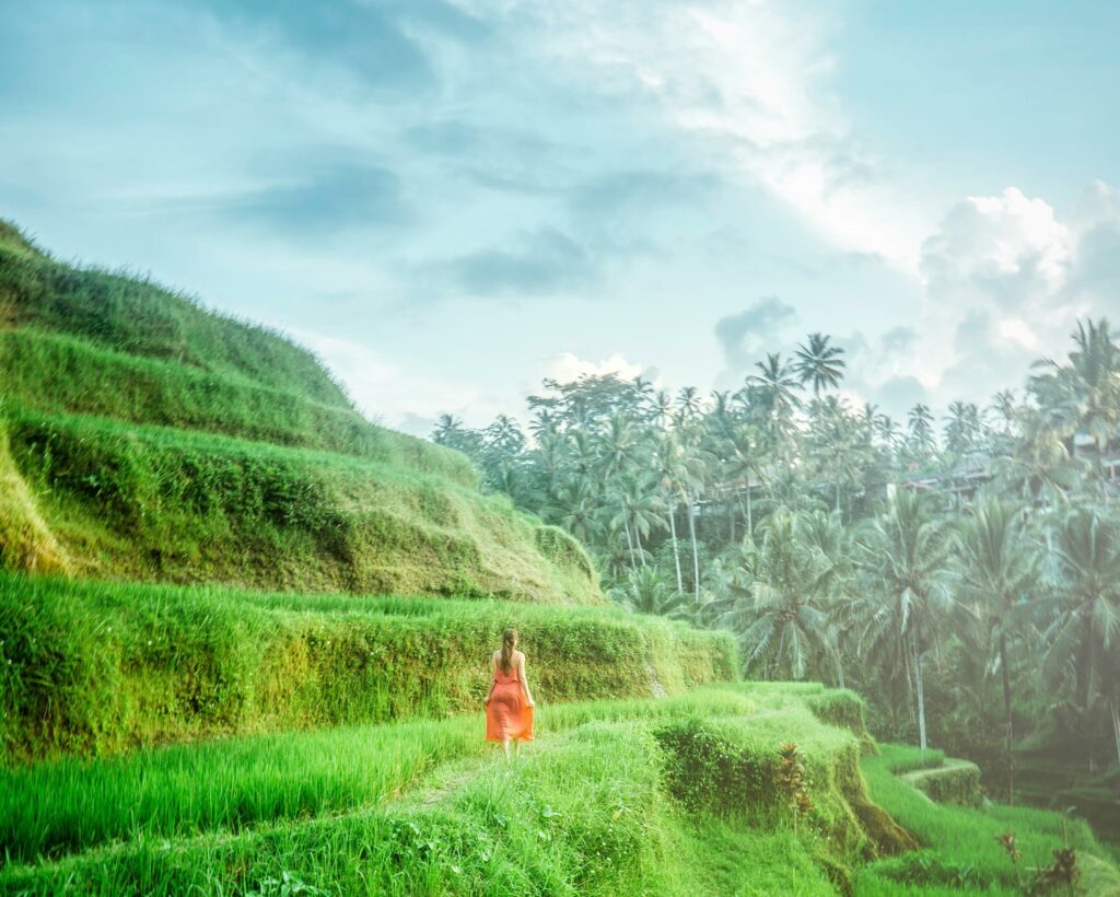 7 Things You Must Do In Bali, Indonesia | Adventure Yogi